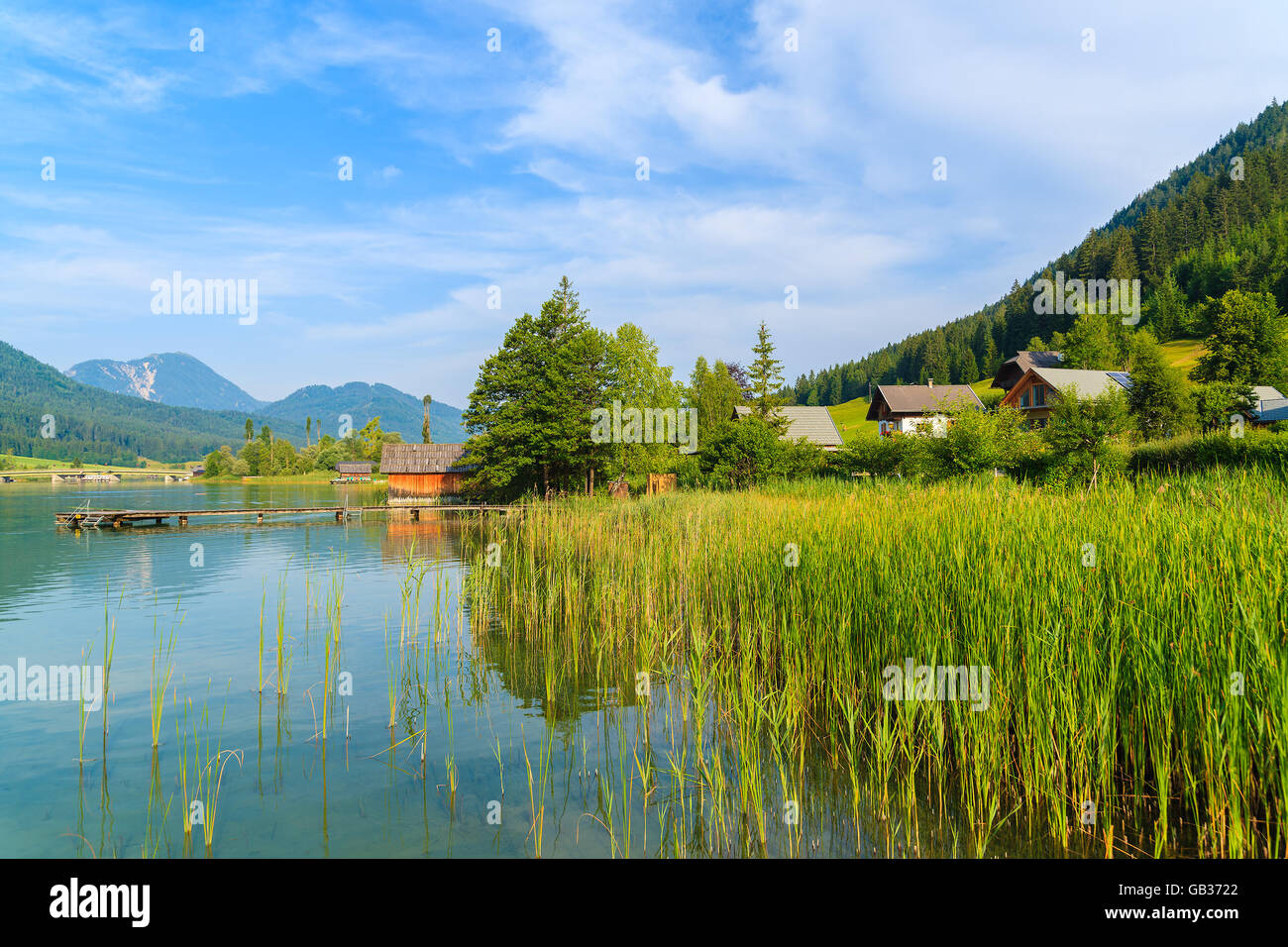 Green grass in water of Weissensee alpine lake in summer landscape ...
