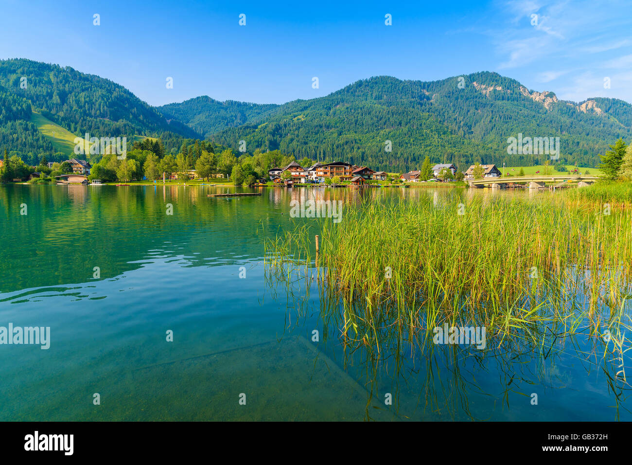 Green grass in water on shore of Weissensee alpine lake in summer ...