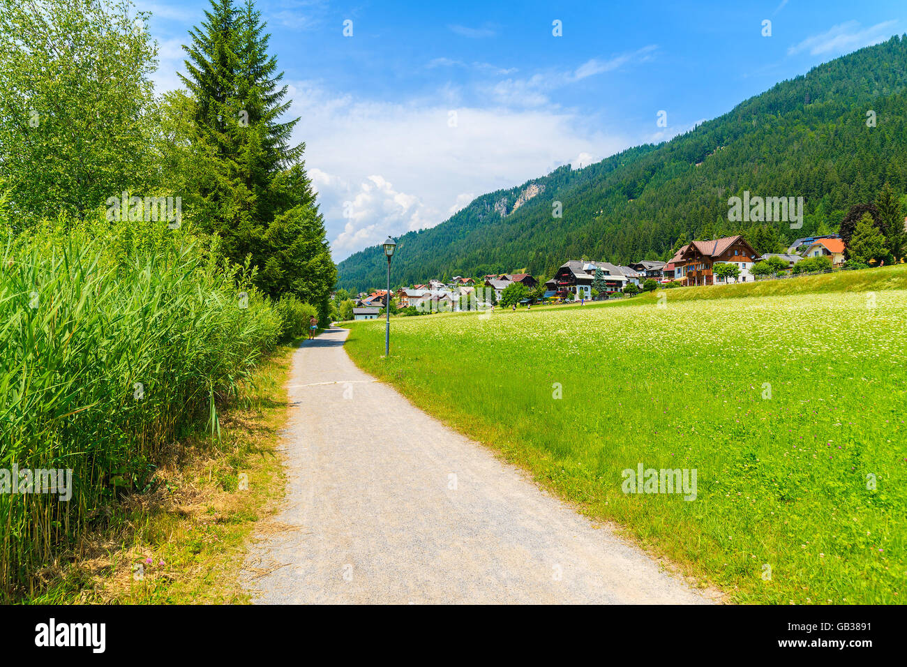 Rural walking path along green meadow with traditional countryside ...