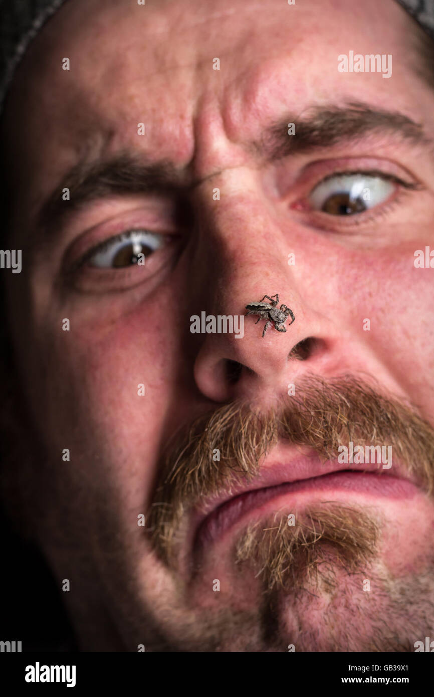 Close up scared man with spider on his nose, arachnophobia concept ...