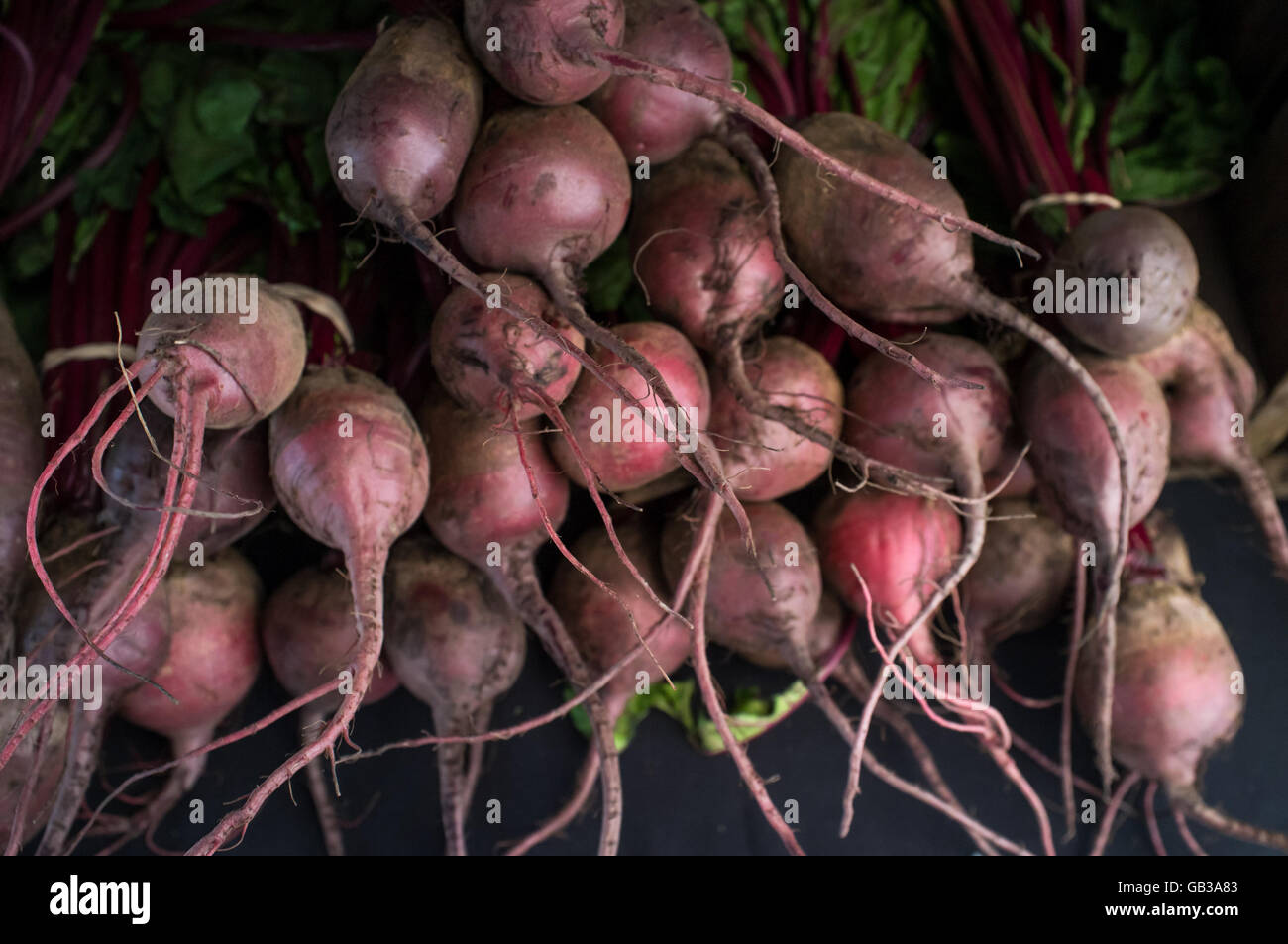 Organic purple beets on display at local farmers market Stock Photo - Alamy