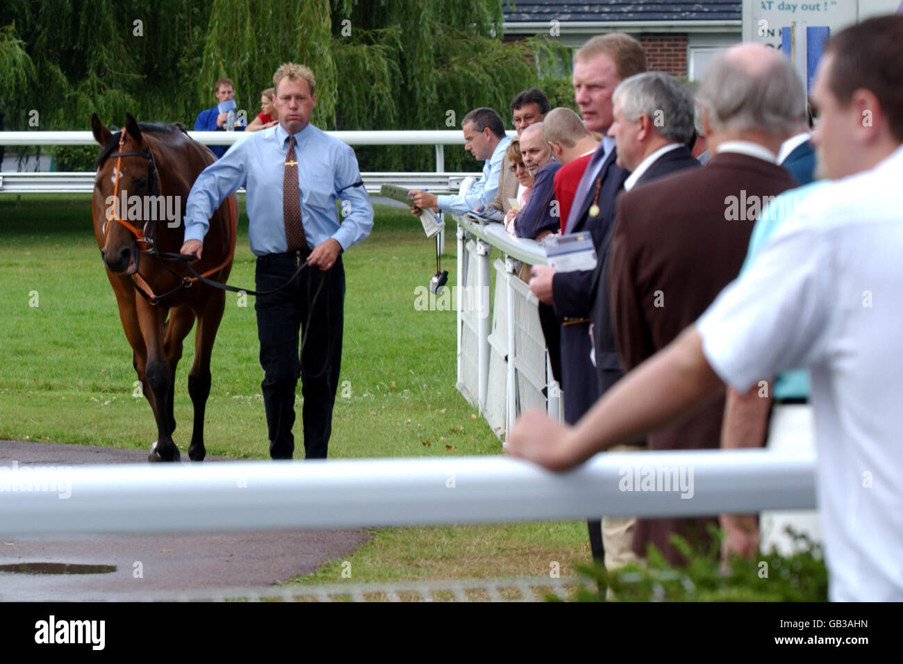 A general view of the parade ring at kempton park hi-res stock ...