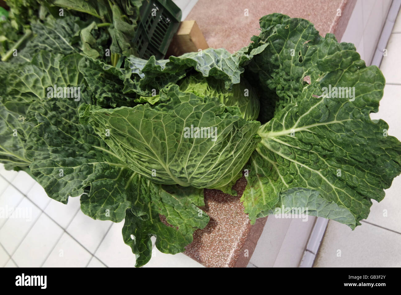 Mallorca cabbage hi-res stock photography and images - Alamy