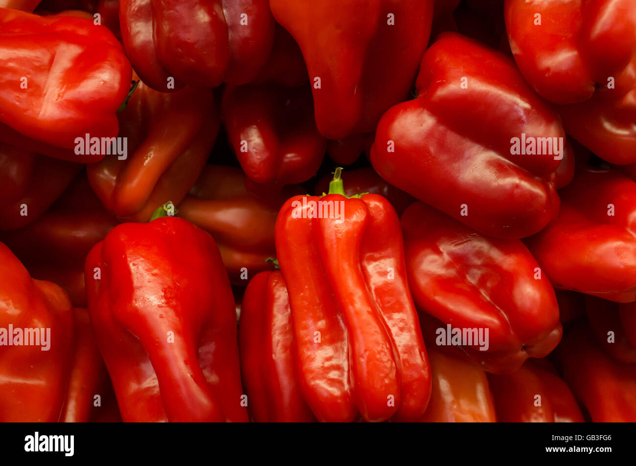 Organic sweet red bell peppers on display at local farmers market Stock ...