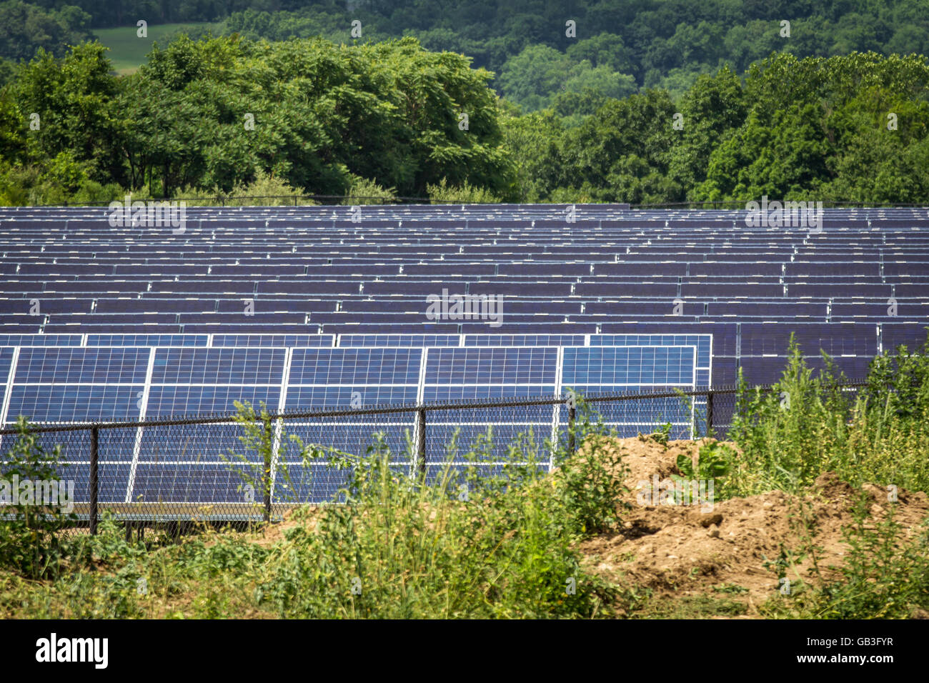 Energy absorbing hi-res stock photography and images - Alamy