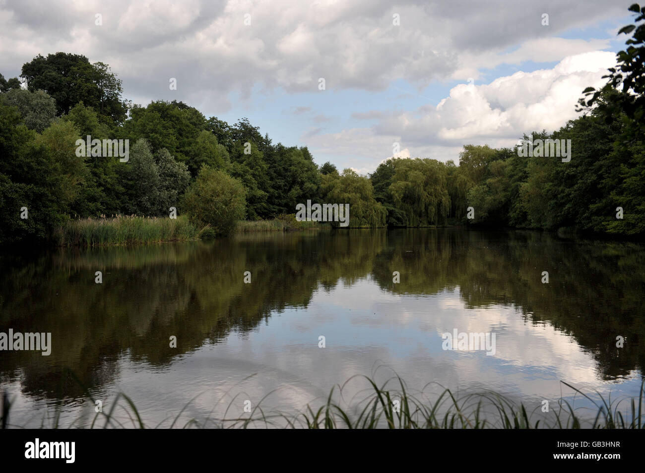 South Weald Essex High Resolution Stock Photography and Images - Alamy