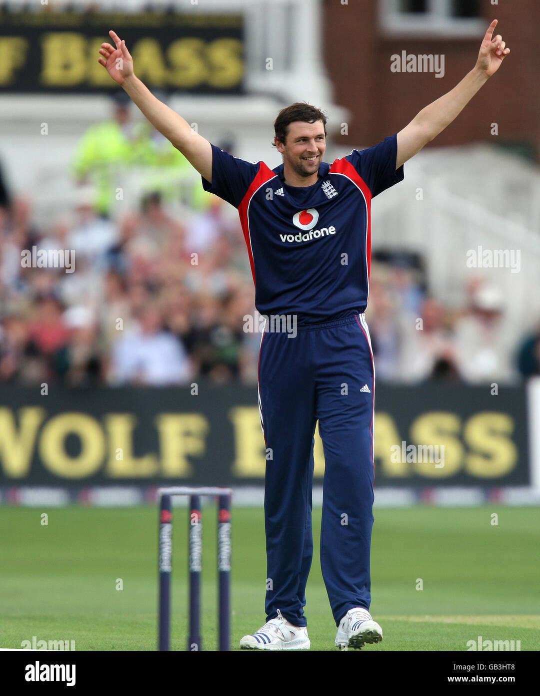 England's Steve Harmison celebrates the wicket of South Africa's Andre ...