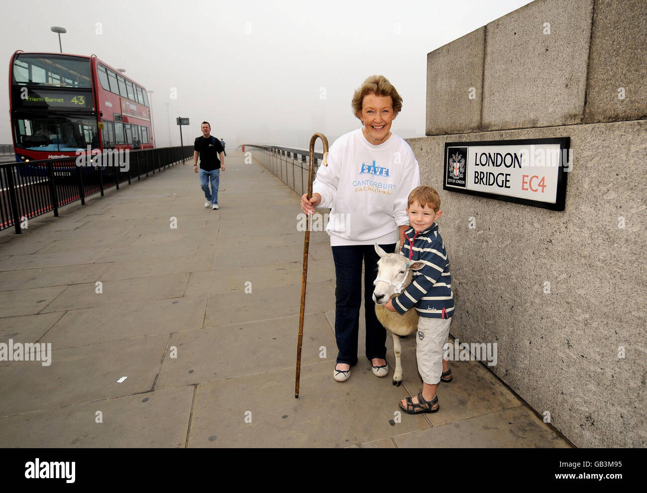 Sheep driven across Tower Bridge Stock Photo - Alamy