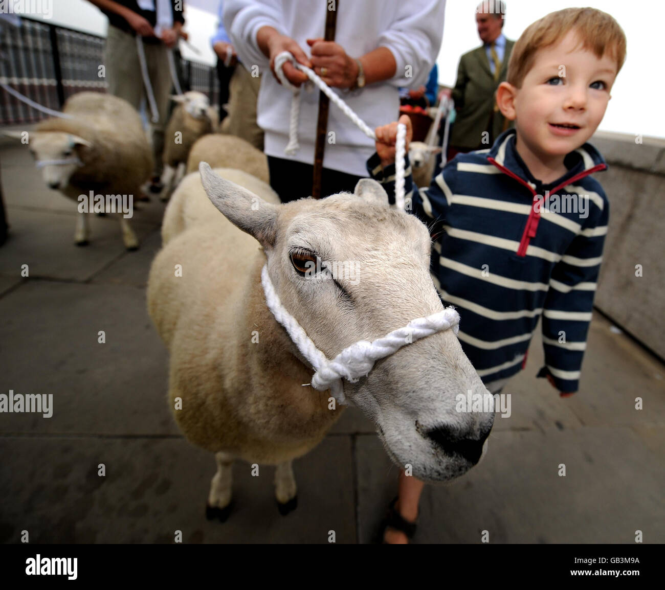 Jack regan hi-res stock photography and images - Alamy