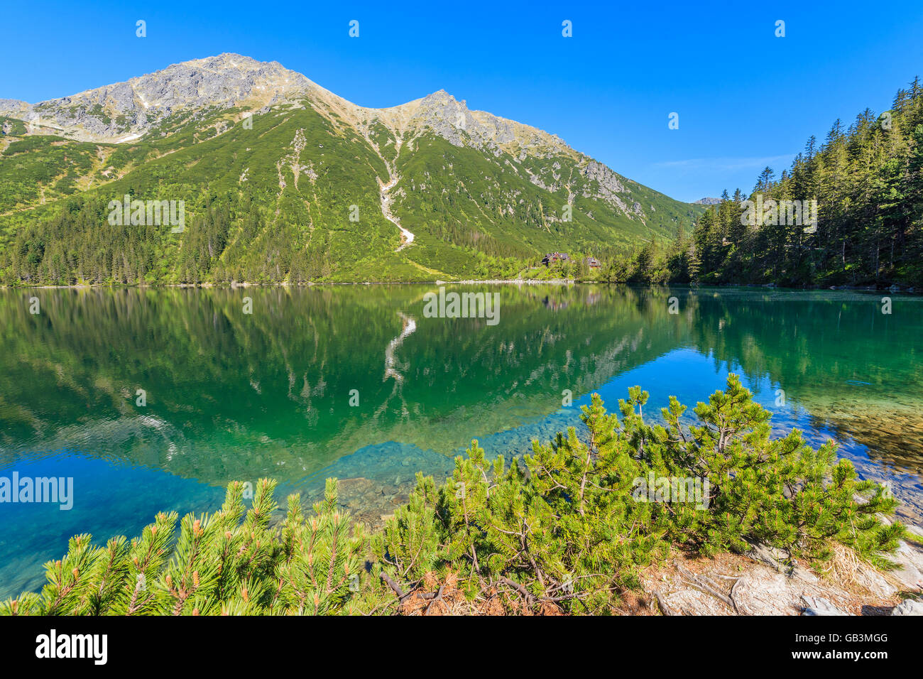 Lake tatra mountains hi-res stock photography and images - Alamy