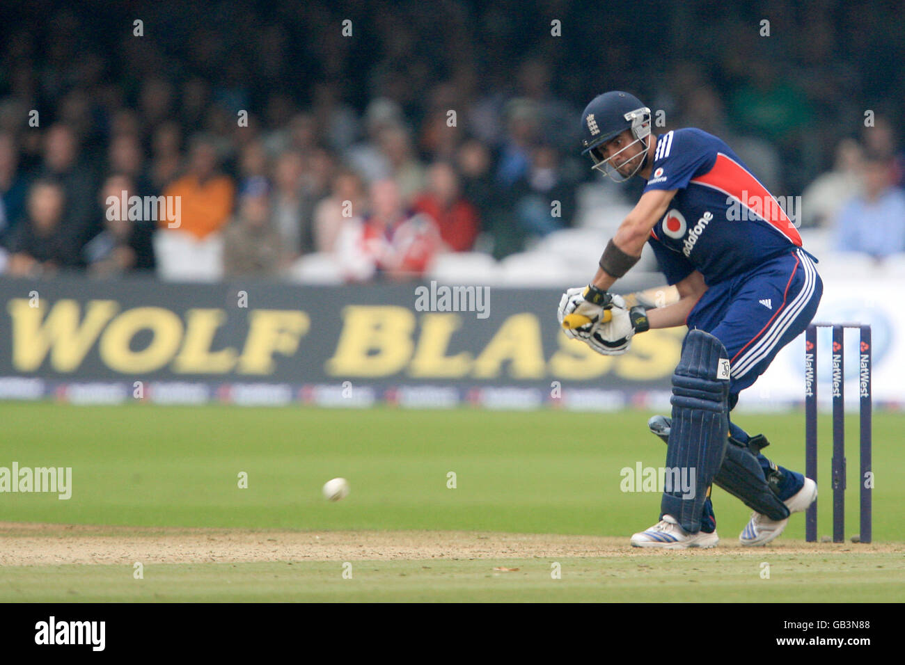 International wolf day hi-res stock photography and images - Alamy