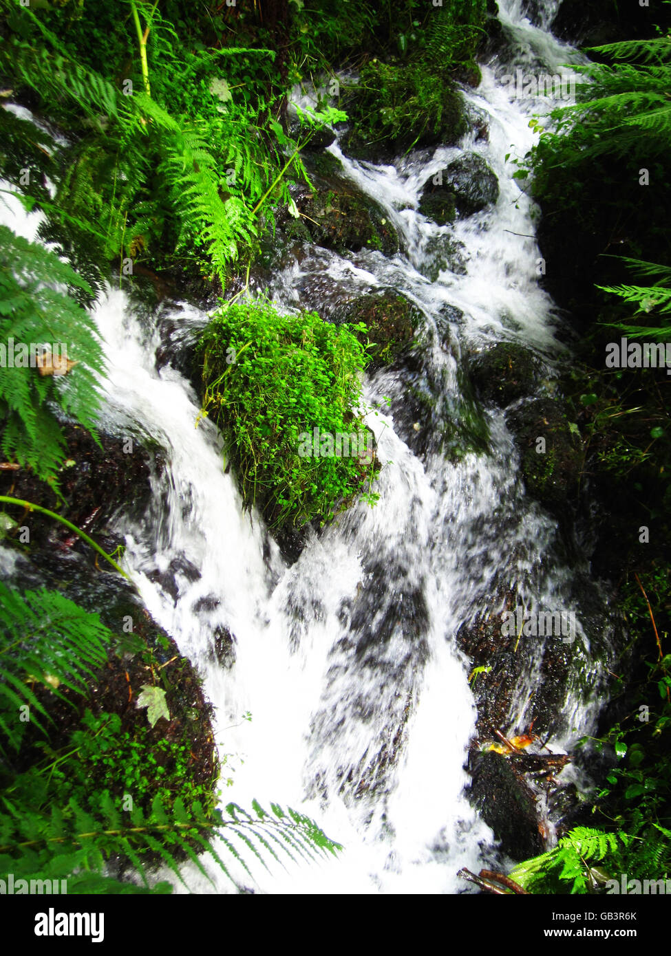 Stream greenery hi-res stock photography and images - Alamy