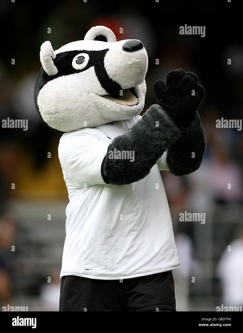 Fulham mascot billy the badger interacts with the crowd hi-res stock ...
