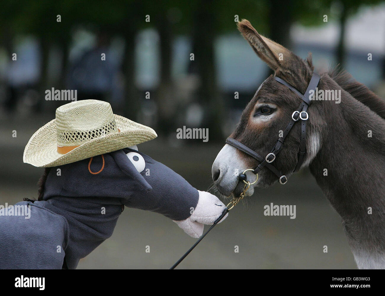 Standalone photo diana donkey hi-res stock photography and images - Alamy