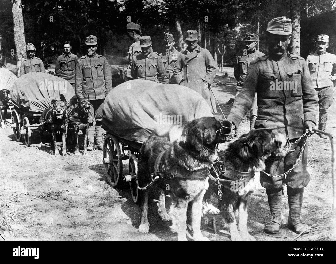 First world war italy hi-res stock photography and images - Alamy