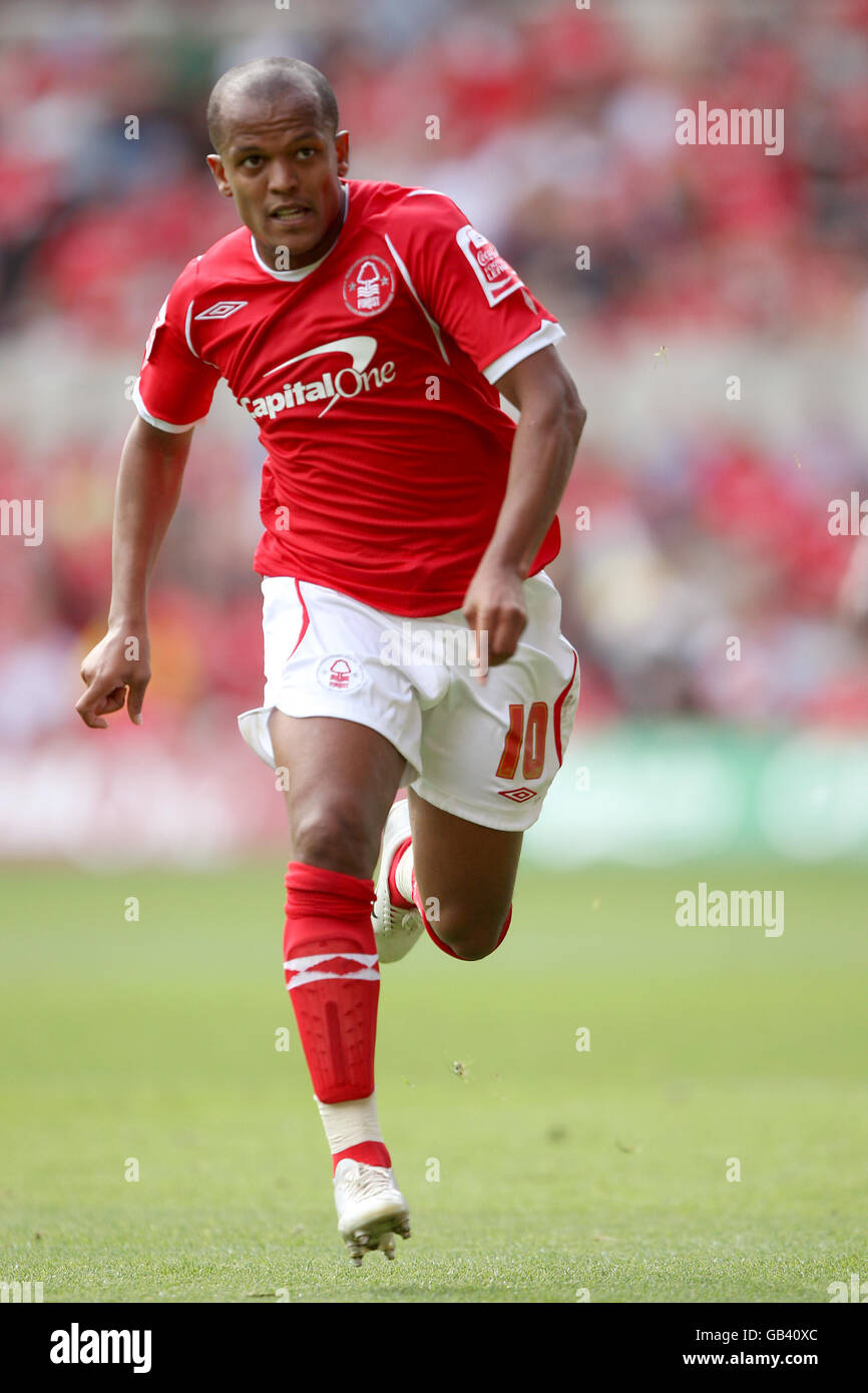 Robert earnshaw forest hi-res stock photography and images - Alamy