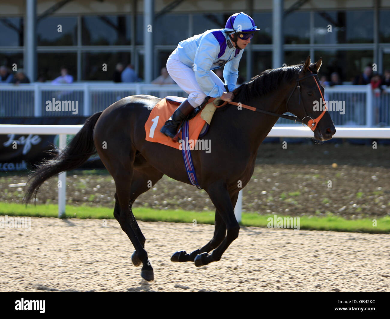 Horse Racing - Great Leighs Stock Photo - Alamy