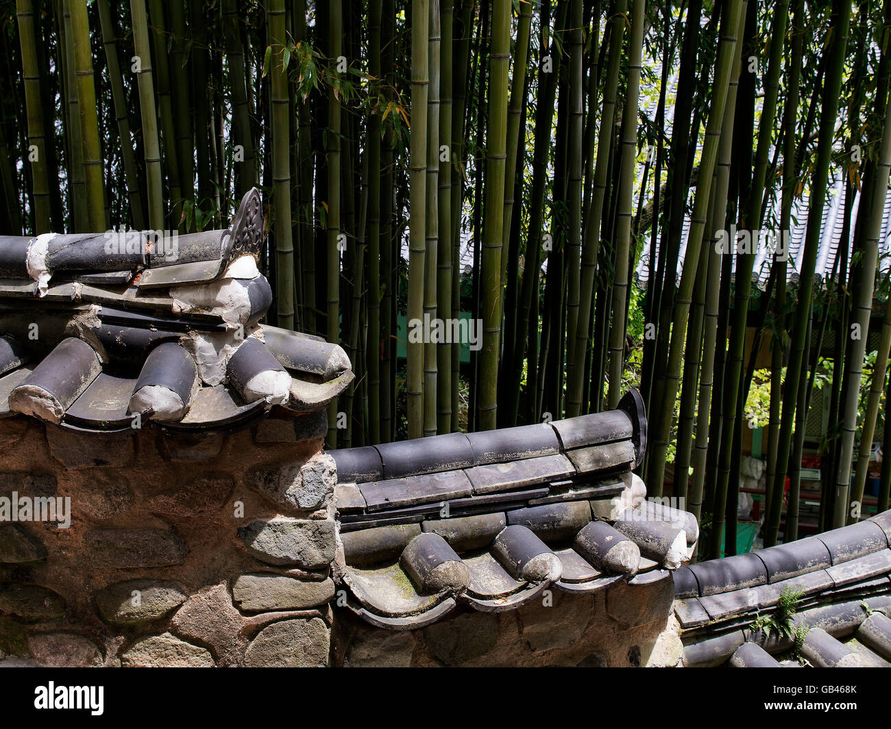 bamboo, buddhist temple Beomosa near Busan, province Gyeongsangnam-do ...