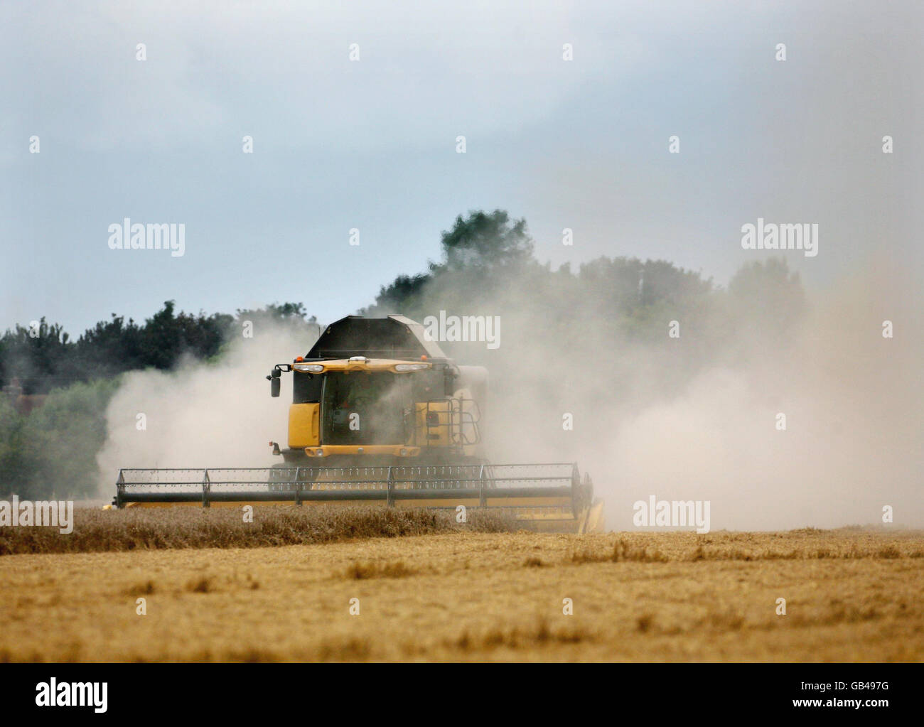 Combine harvester at work in field near ivychurch in kent hi-res stock ...