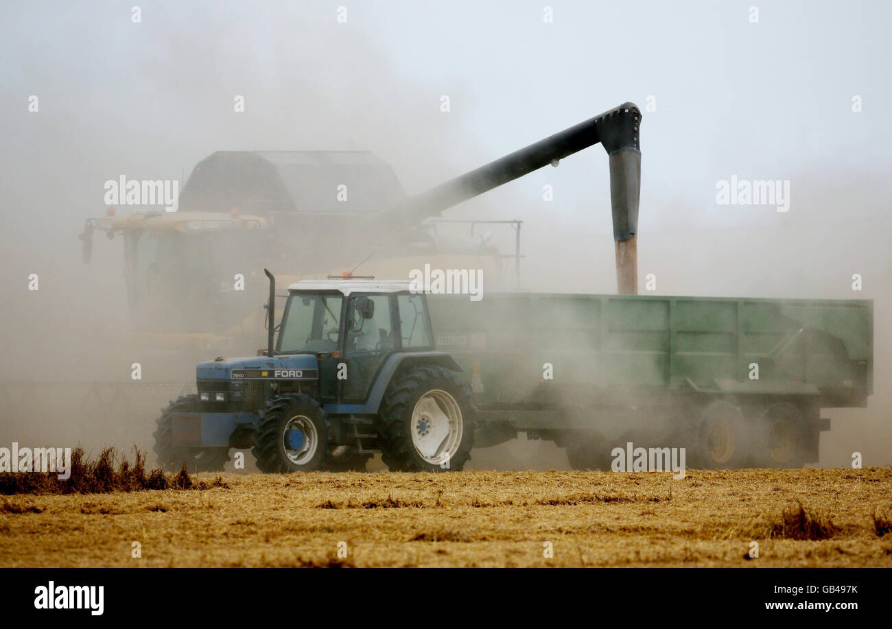 A Combine Harvester at work in a field near Ivychurch in Kent Stock ...