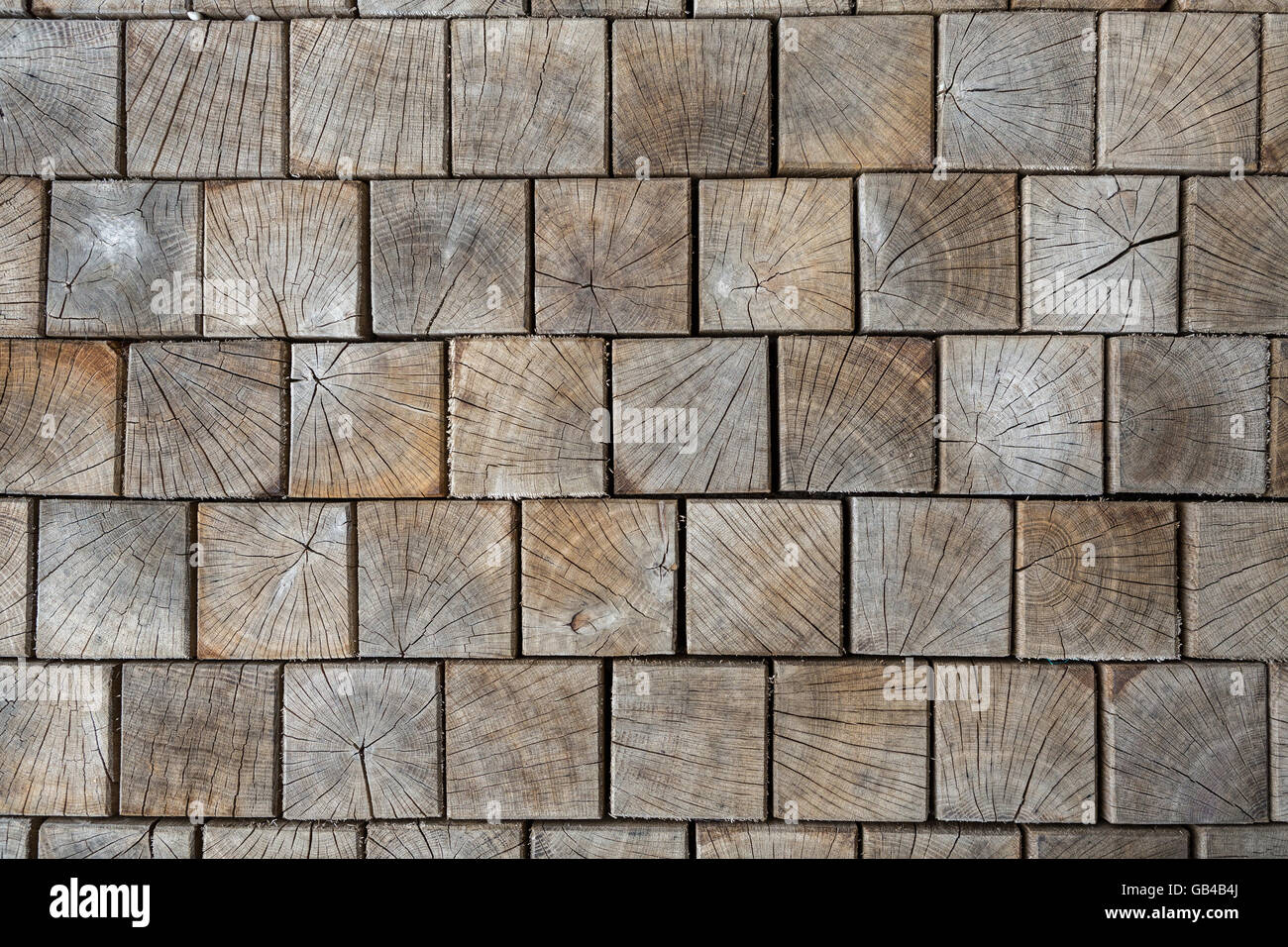 inlaid wooden tiles as the background, conceptual in nature Stock Photo ...