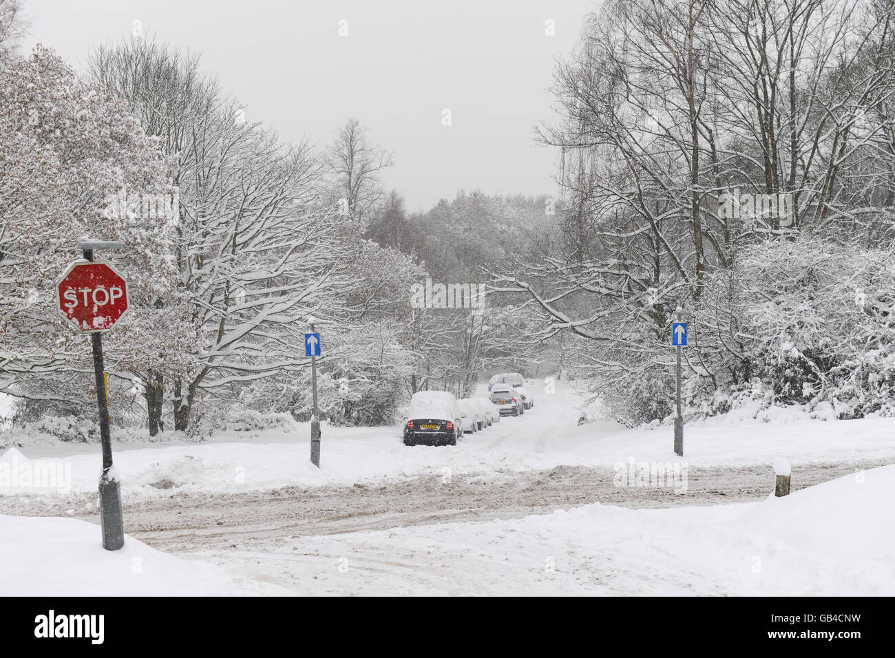 Winter stop sign one way red blue parked cars hi-res stock photography ...