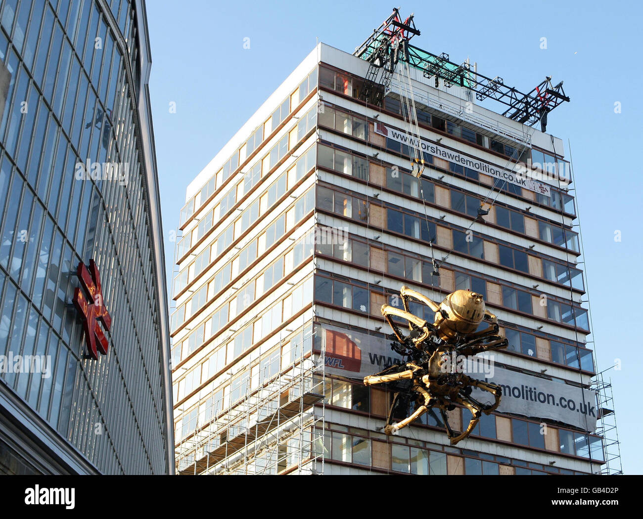 Spider side view hi-res stock photography and images - Alamy