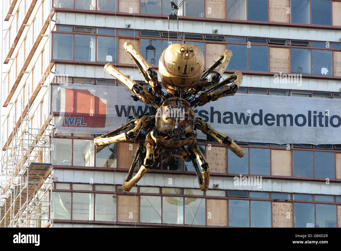 Spider side view hi-res stock photography and images - Alamy