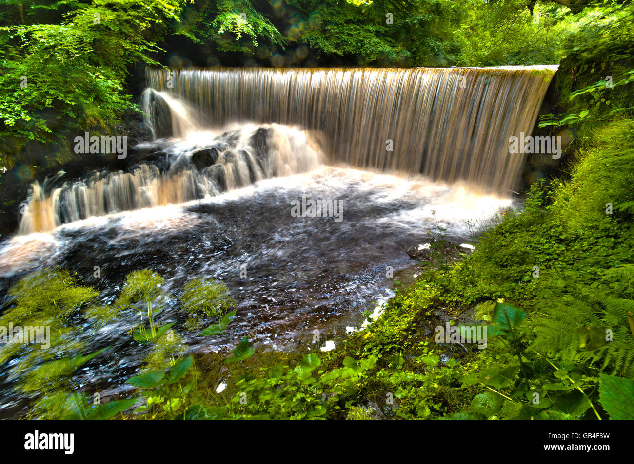 Lochwinnoch hi-res stock photography and images - Alamy