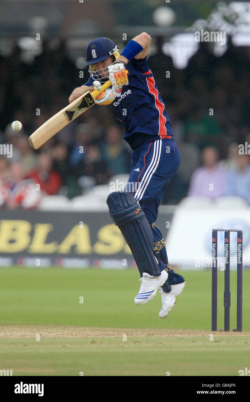 International wolf day hi-res stock photography and images - Alamy