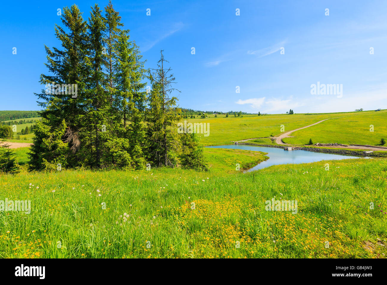 Beautiful flower meadow lake hi-res stock photography and images - Alamy