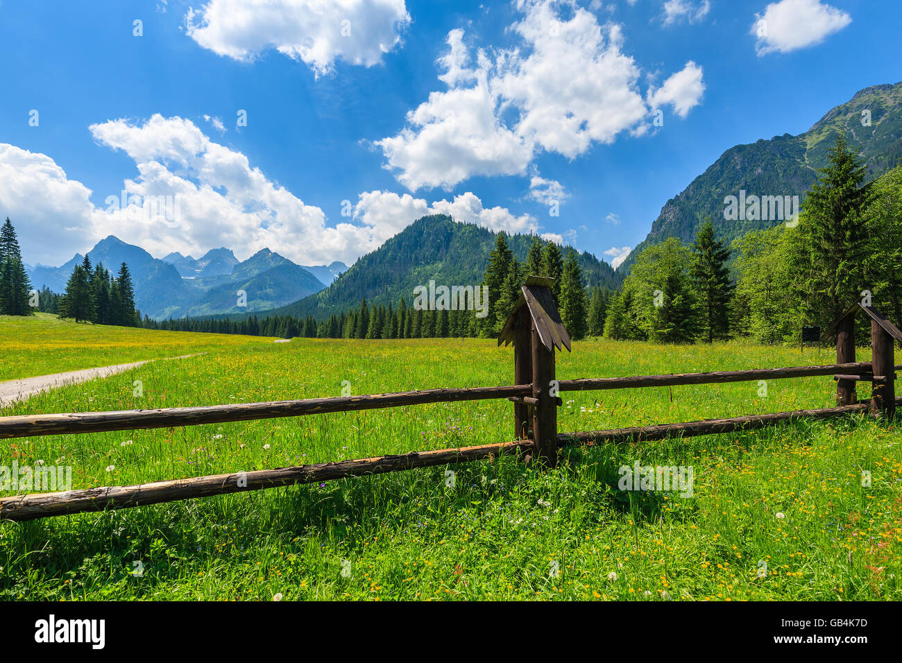 Beautiful forest path wooden fence hi-res stock photography and images ...