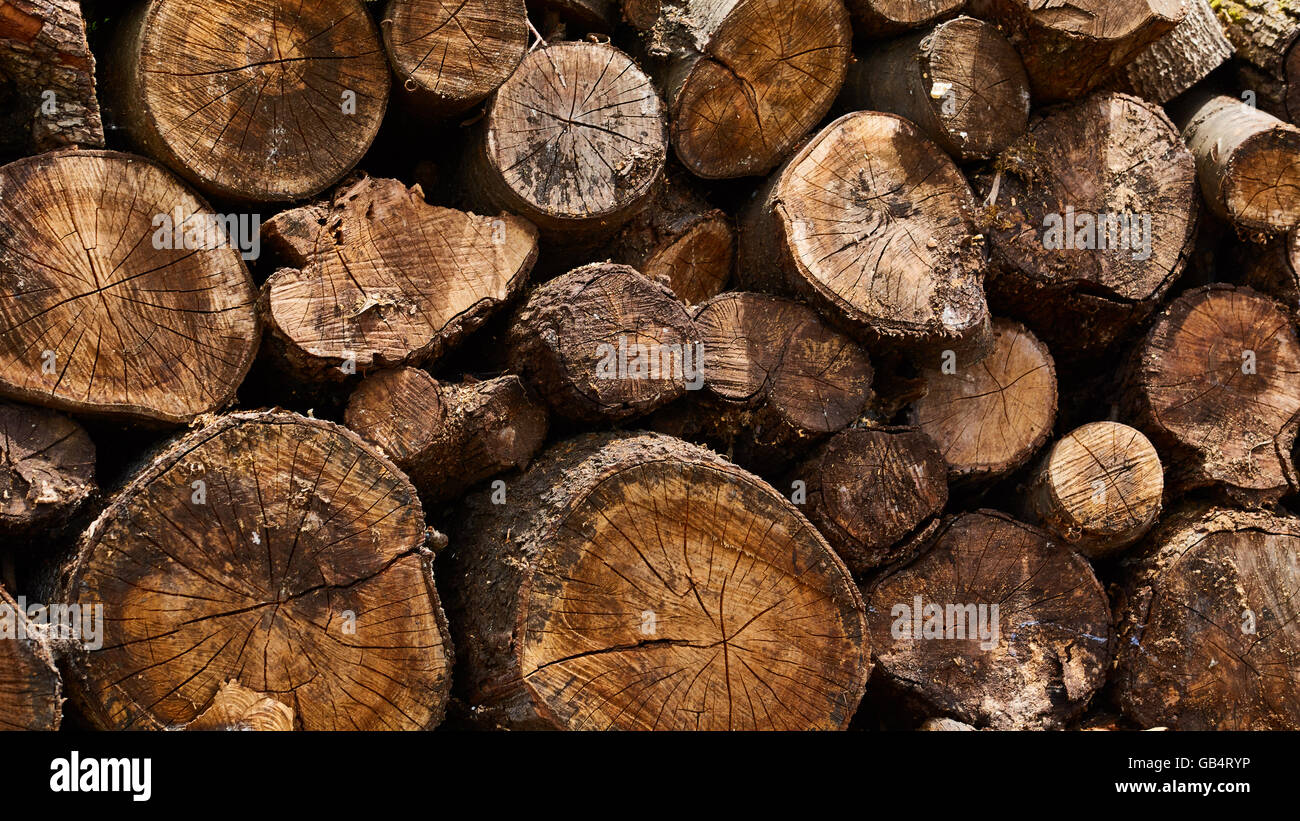 Kindling firewood in furnace hi-res stock photography and images - Alamy