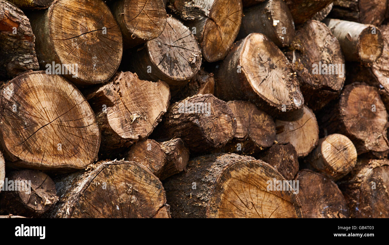 Kindling firewood in furnace hi-res stock photography and images - Alamy