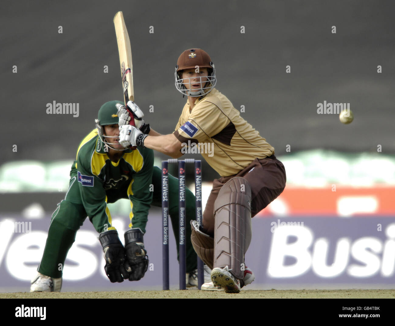 Cricket brown hi-res stock photography and images - Alamy