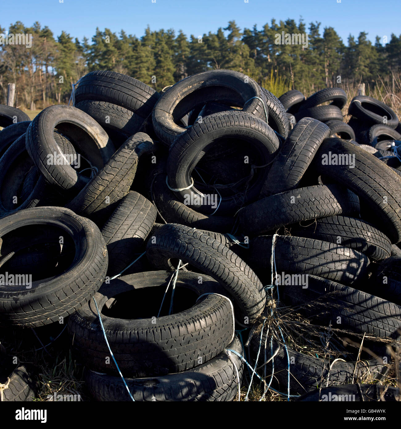 Old tires dumped in the midst of nature Stock Photo - Alamy