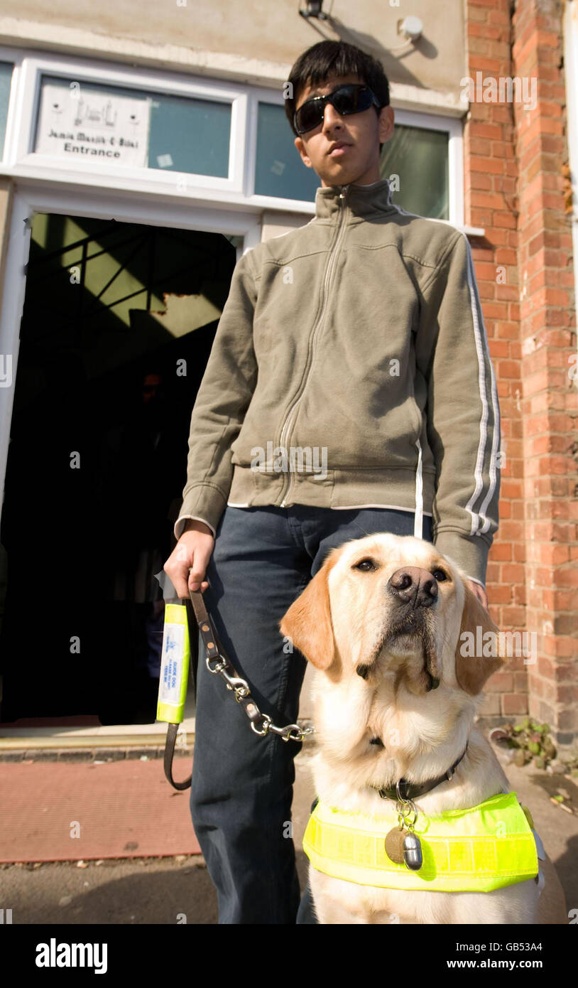The first guide dog in the uk to enter mosque hi-res stock photography ...