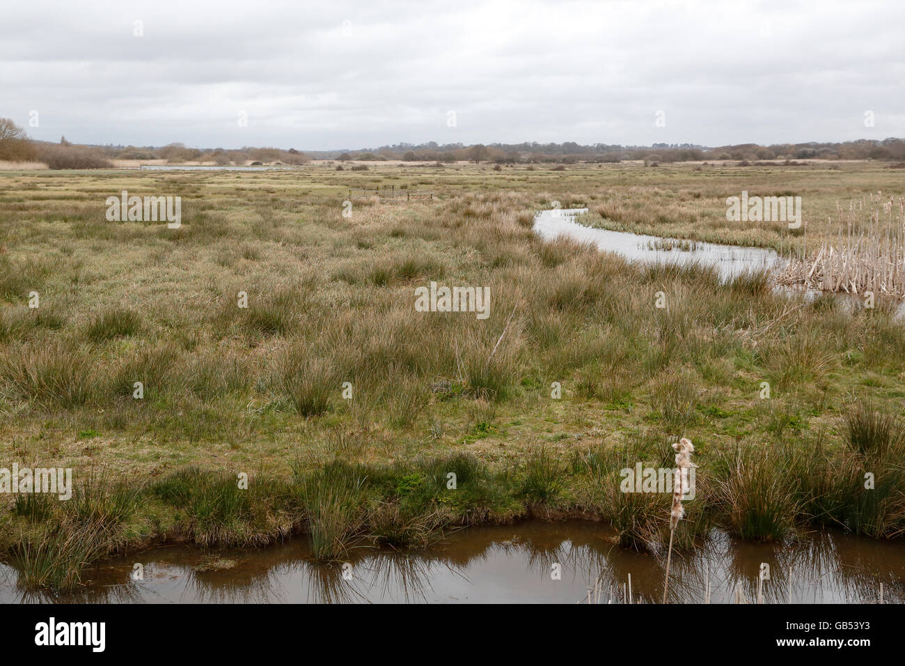 View of Titchfield Haven nature reserve, Hampshire, England, United ...