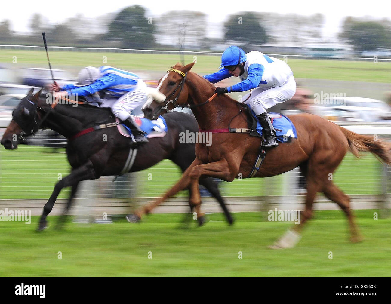 Racing Beverley Full Length Riding Jockey Mangdm High Resolution Stock ...