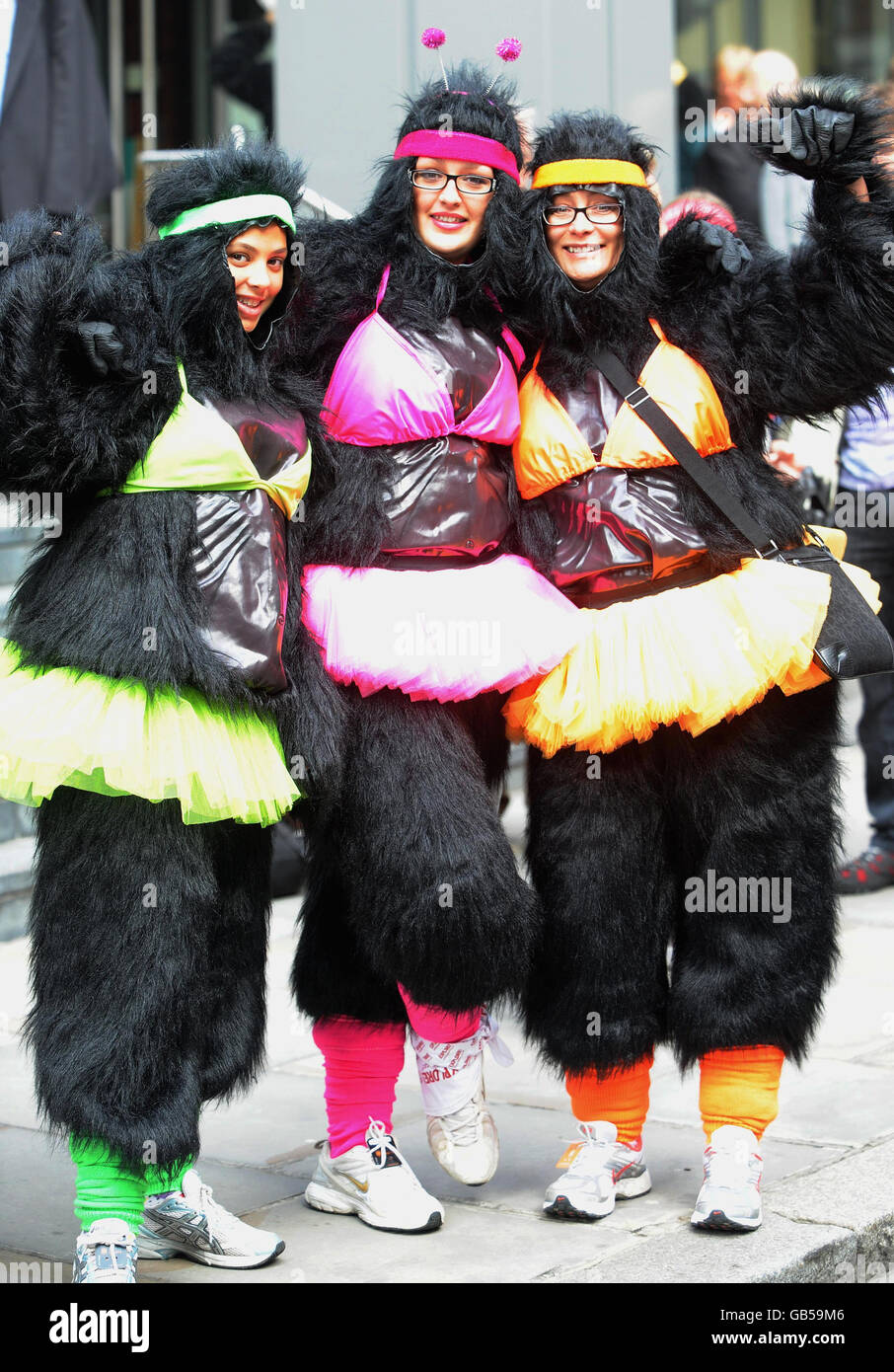Gorilla lady hi-res stock photography and images - Alamy