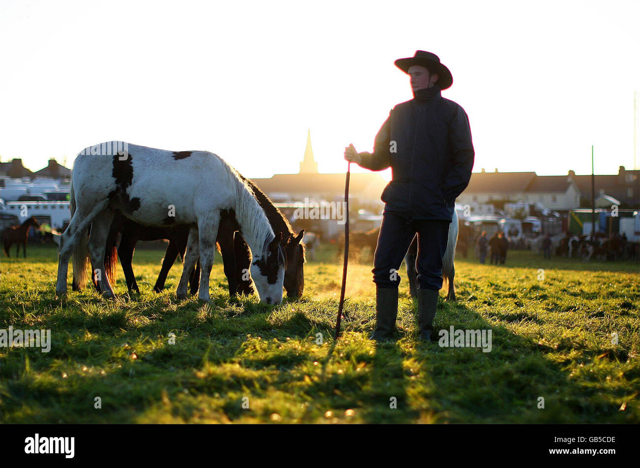 Ballinasloe horse fair Stock Photo - Alamy