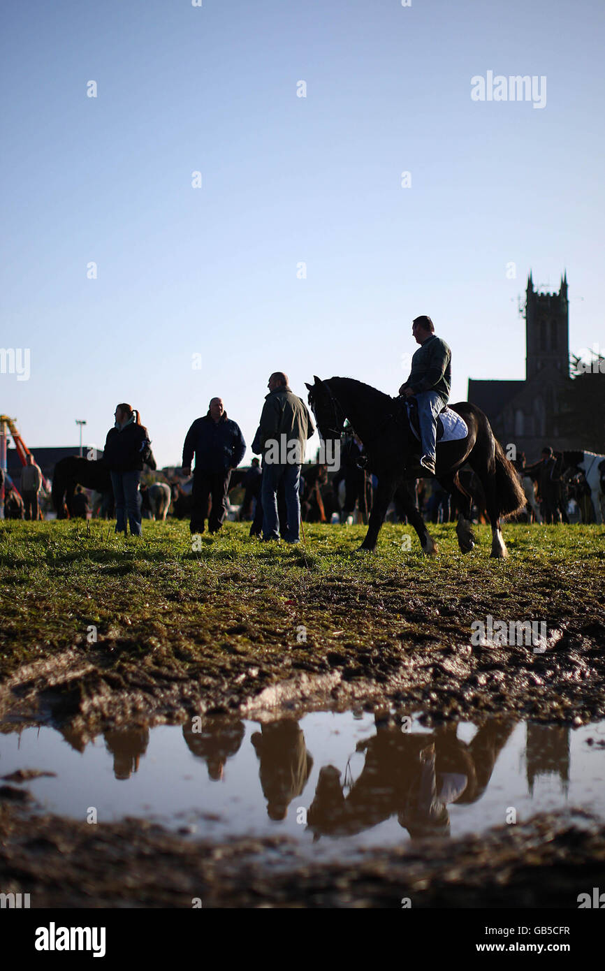 Ballinasloe horse fair hi-res stock photography and images - Alamy