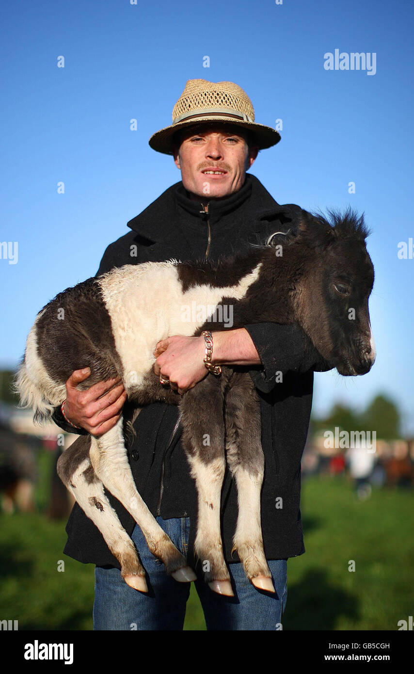 Ballinasloe horse fair Stock Photo - Alamy