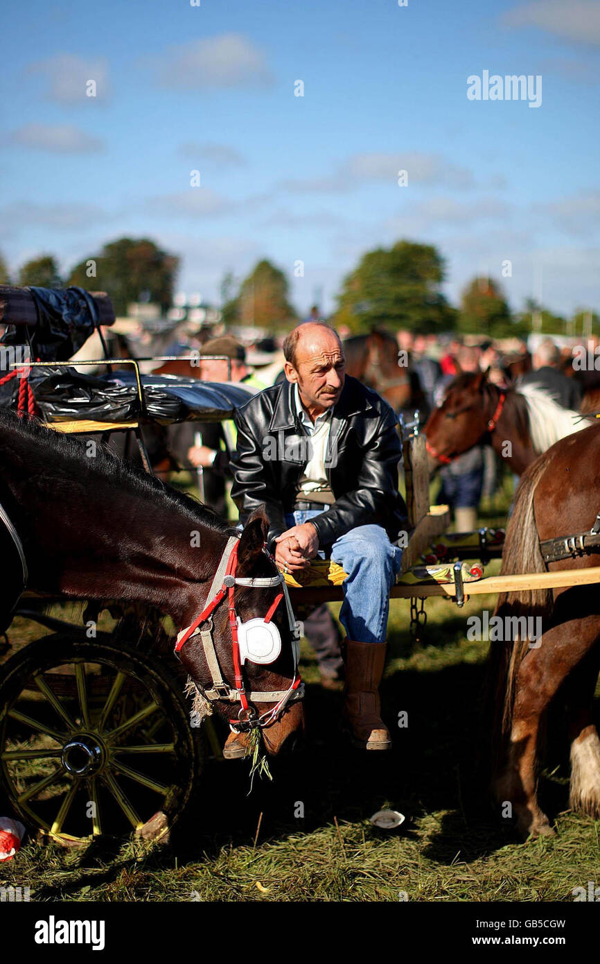 Ballinasloe horse fair Stock Photo - Alamy