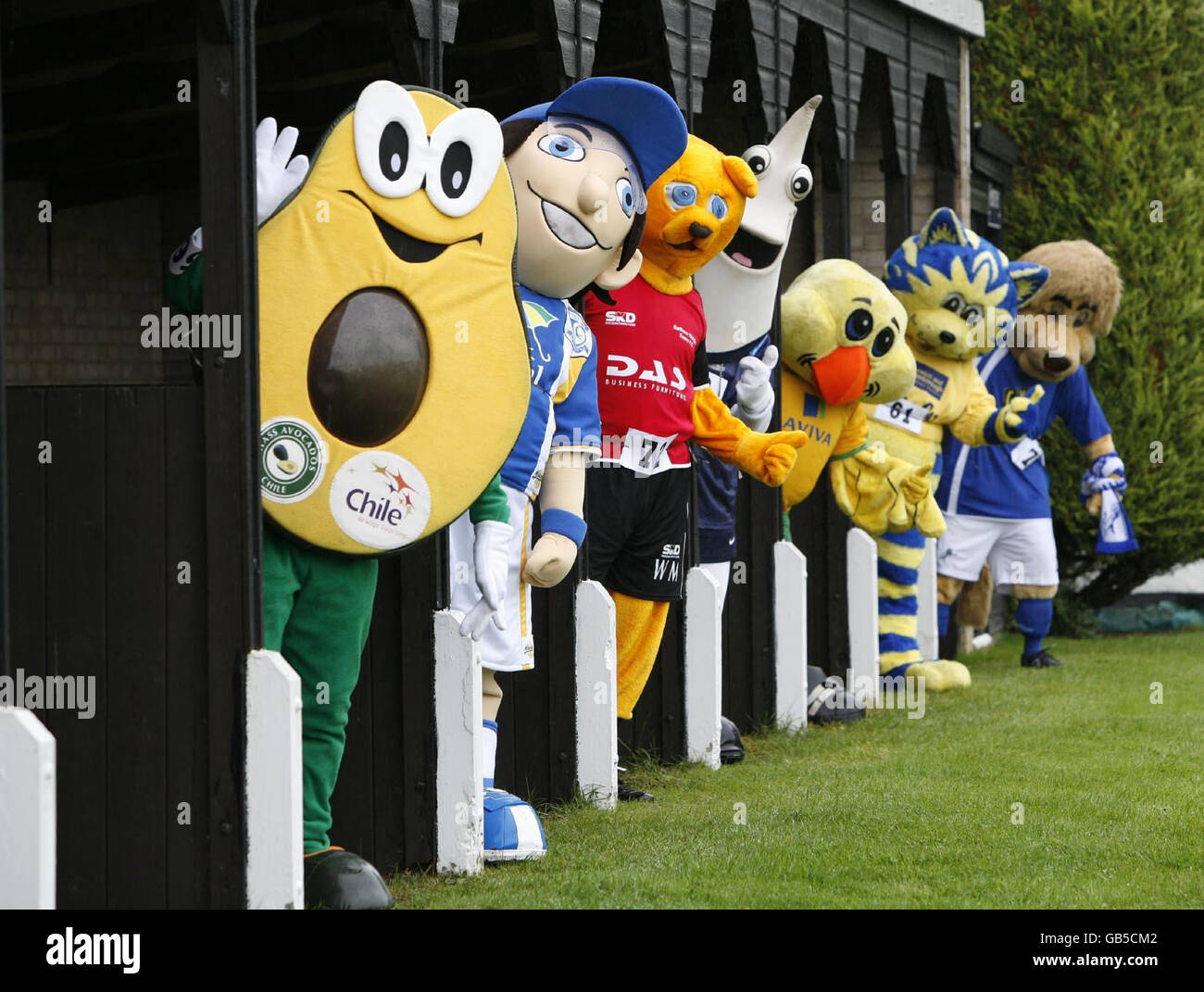 10th annual Mascot Grand National Stock Photo - Alamy