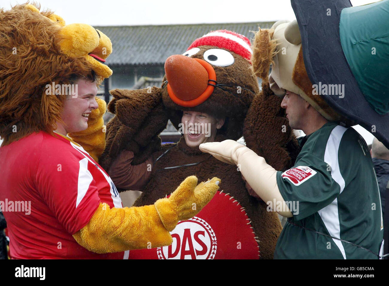 Exeter city mascot hi-res stock photography and images - Alamy
