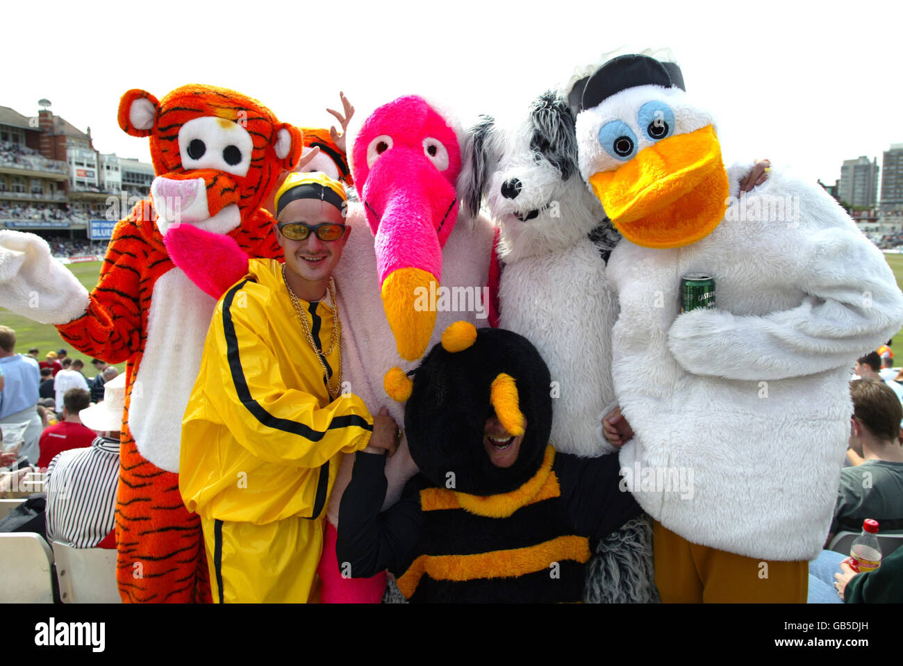 England cricket fancy dress hi-res stock photography and images - Alamy