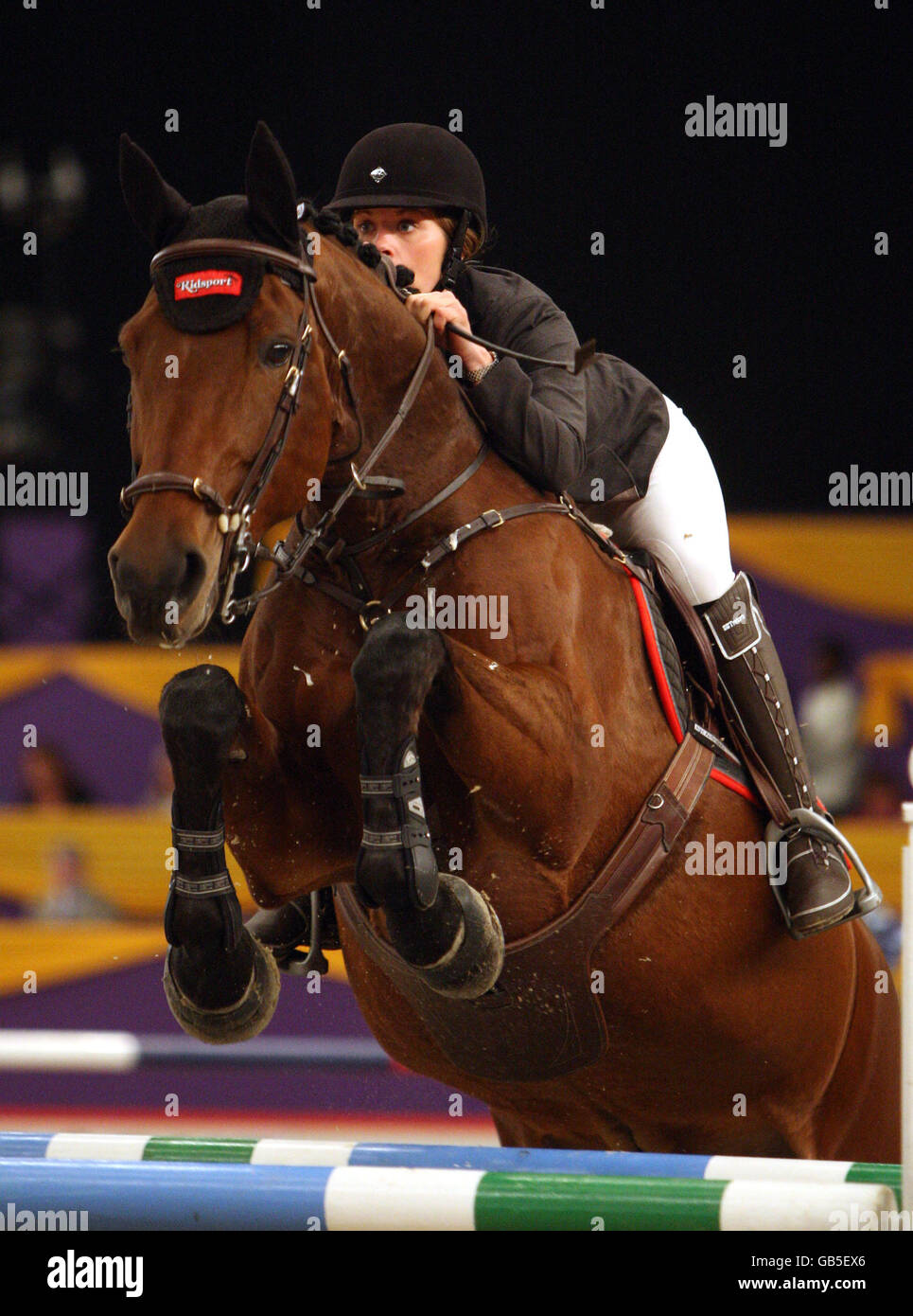 Equestrian - Horse of the Year Show - Day Two - National Exhibition ...