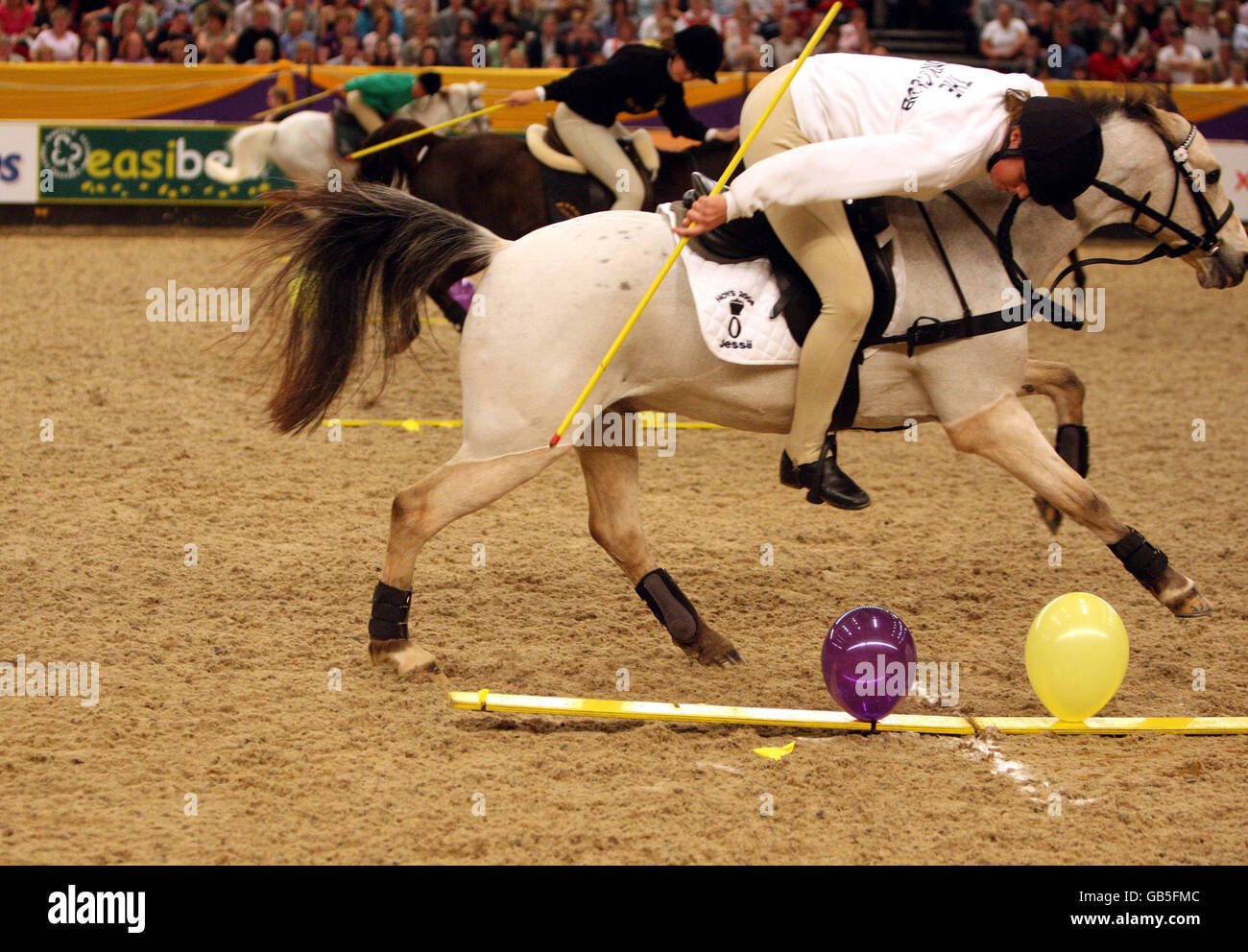 Equestrian - Horse of the Year Show - Day Four - National Exhibition ...