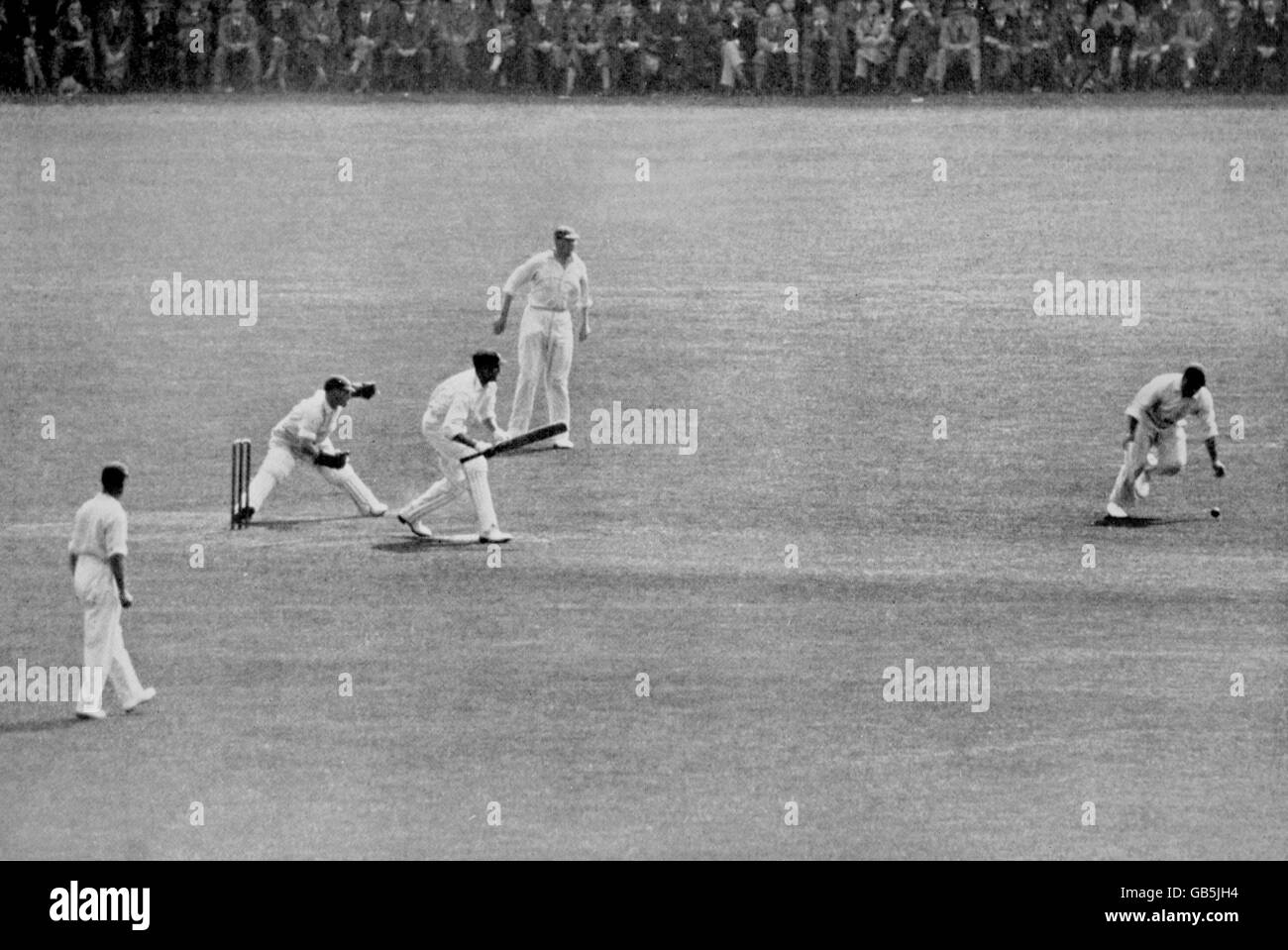 R at short leg hi-res stock photography and images - Alamy